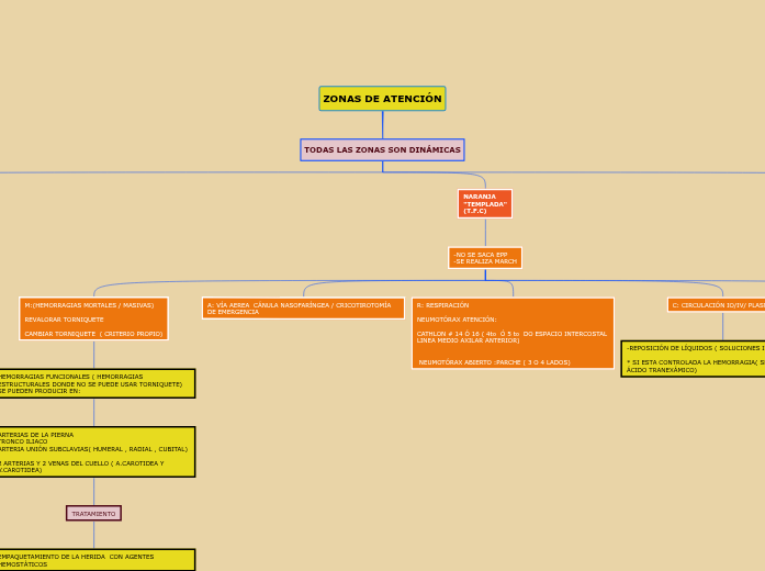 ZONAS DE ATENCIÓN - Mind Map